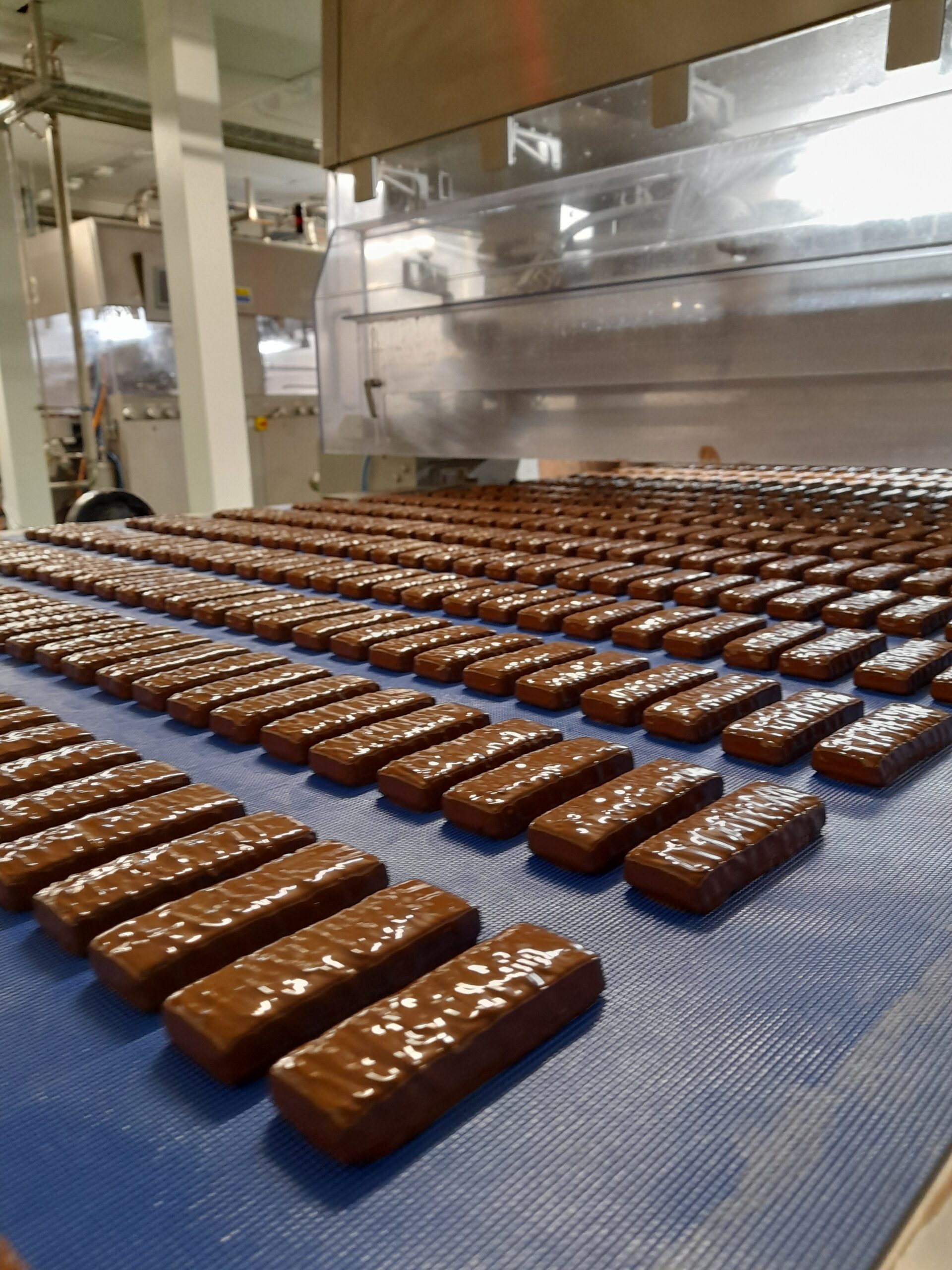 Home Page - Halofoods